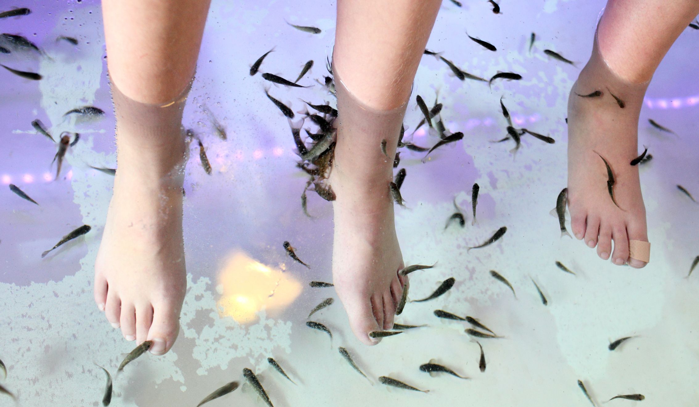 Fish pédicure, ses bienfaits et ses dangers