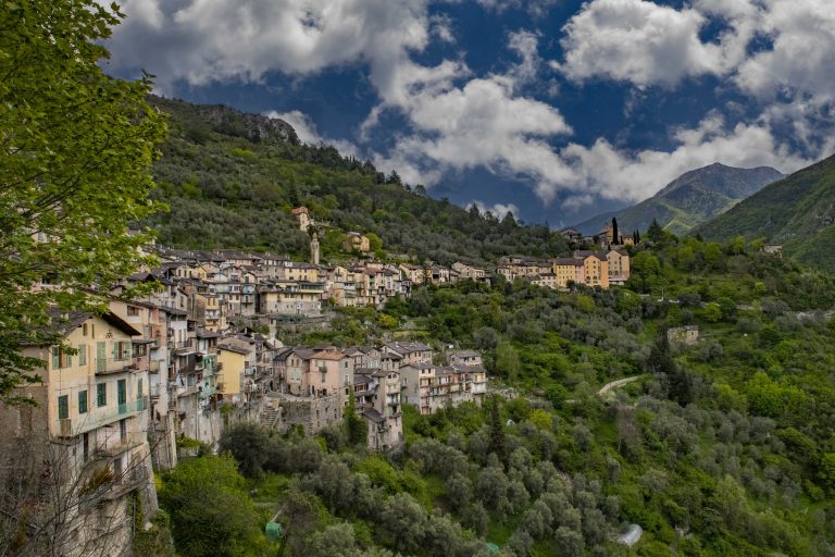 The Voice Kids : que devient Emma Cerchi, la très jeune gagnante de la ...