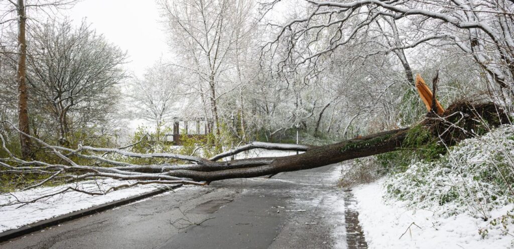 Tempête Goretti : 50 000 foyers privés d’électricité et deux blessés